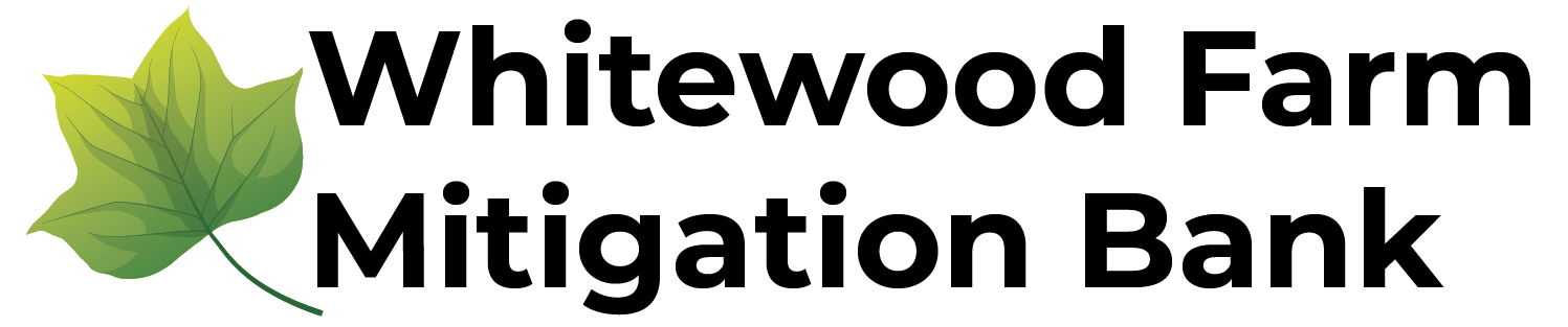 Mitigation Banks and The Efforts On Stream Erosion Prevention ...